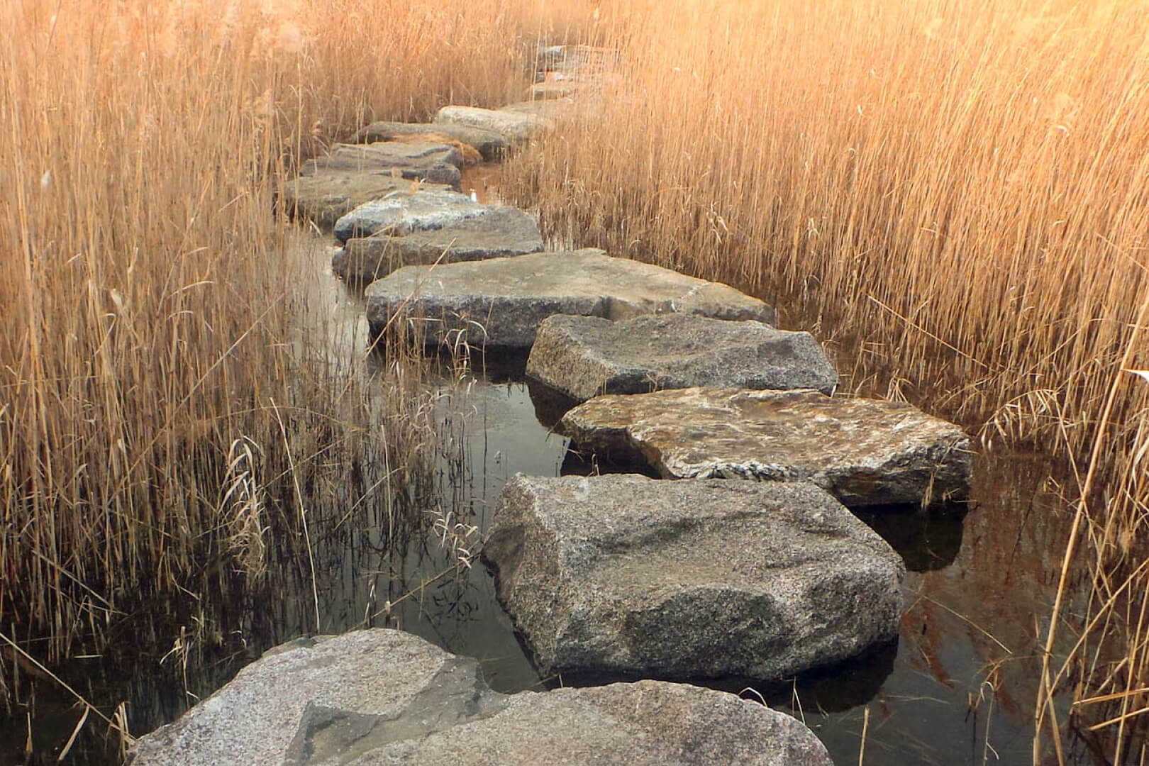 Resources for Indigenous health, wellness, and reconciliation now ...